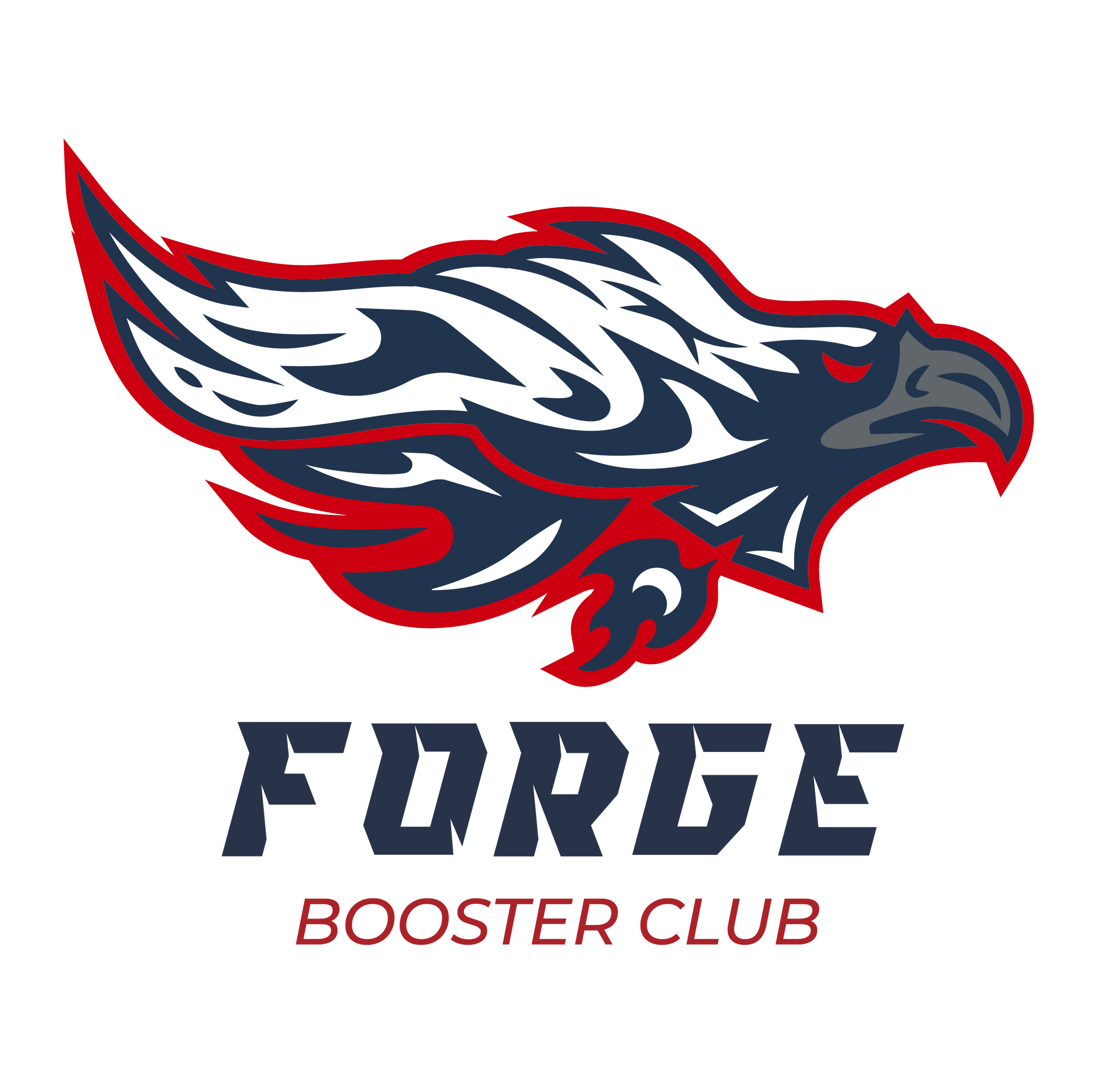 Home | Forge Christian Parent Boosters, Inc